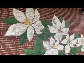 Broyhill